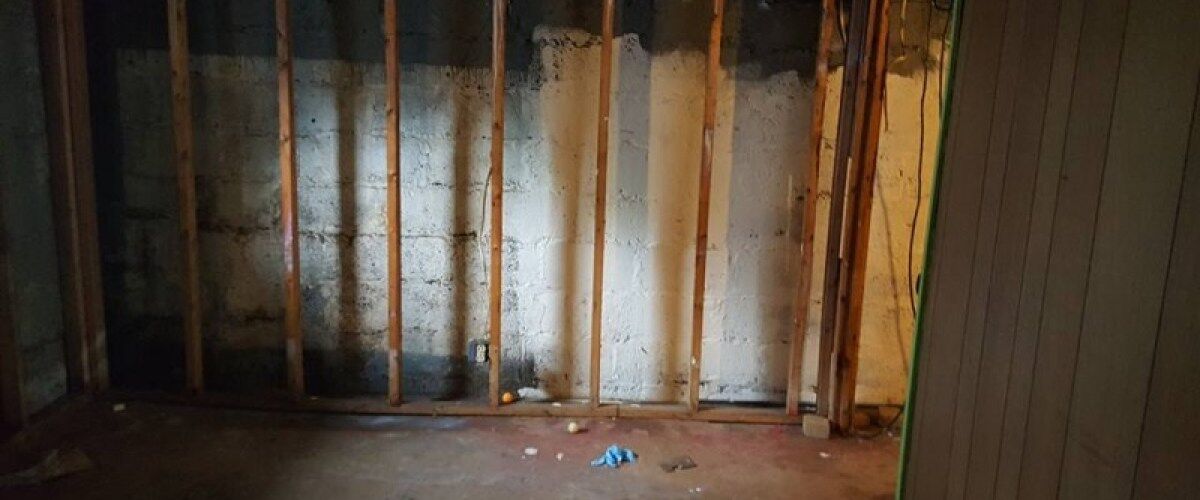 Professional Mold Removal Company in Peabody, MA | Bay State Mold ...