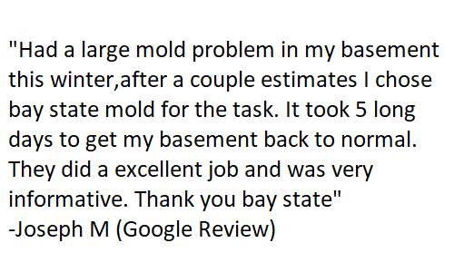 Professional Mold Removal Company in Peabody, MA | Bay State Mold ...